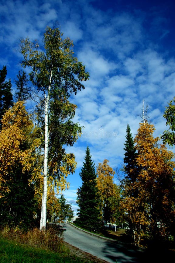 UAF campus in fall colors stock image. Image of clouds - 398381