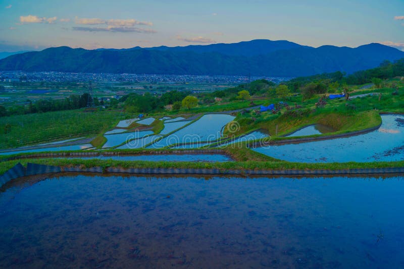 Uba -abandoned rice field stock photo. Image of songs - 272310014
