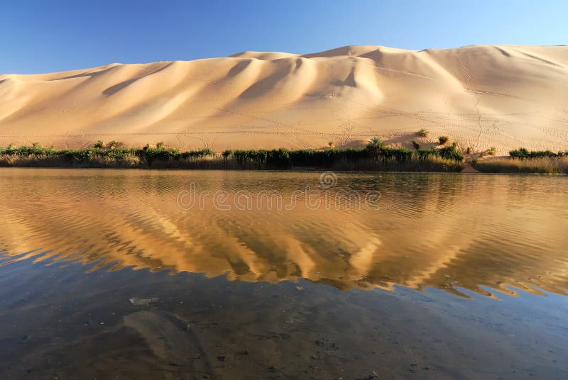 Ubari in Libya stock photo. Image of ubari, arecales, landscape - 6295448