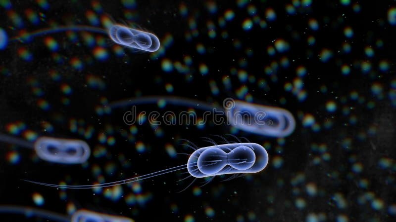 Ubiquitous Bacteria with Long Tails Stock Illustration - Illustration ...