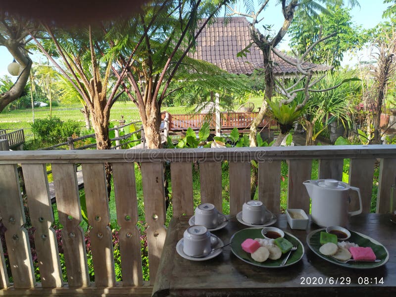 Ubud Plant Village in Balinese Stock Photo - Image of balinese, plant ...