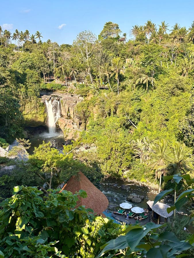 Ubud Waterfall stock image. Image of nature, trees, ubud - 355736397