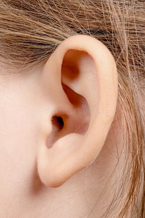 Ucho obraz stock. Obraz złożonej z słuchacz, facet, osoba - 52436059