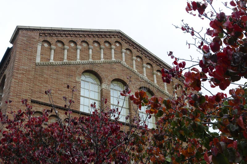 UCLA building stock image. Image of ucla, fall, bricks - 48472575