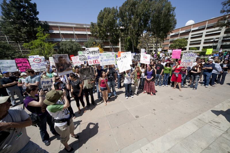 UCLA Pro-Test editorial image. Image of experiment, animals - 14409650