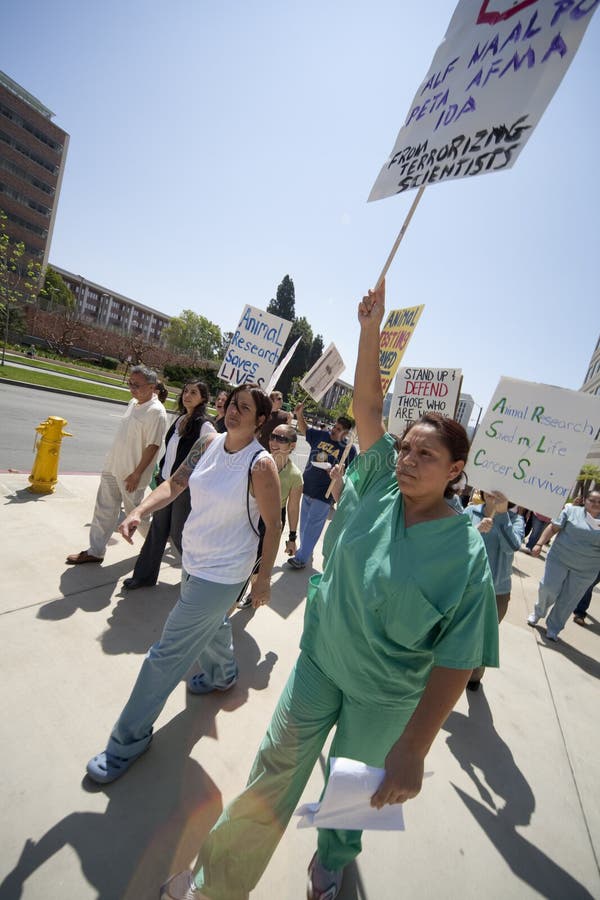 UCLA Pro-Test editorial image. Image of experiment, animals - 14409650