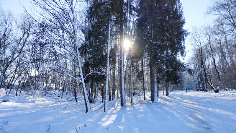 Ucraina Sfondo Invernale Con Neve Bianca Immagine Stock - Immagine di ...