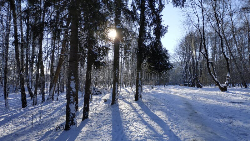 Ucraina Sfondo Invernale Con Neve Bianca Immagine Stock - Immagine di ...