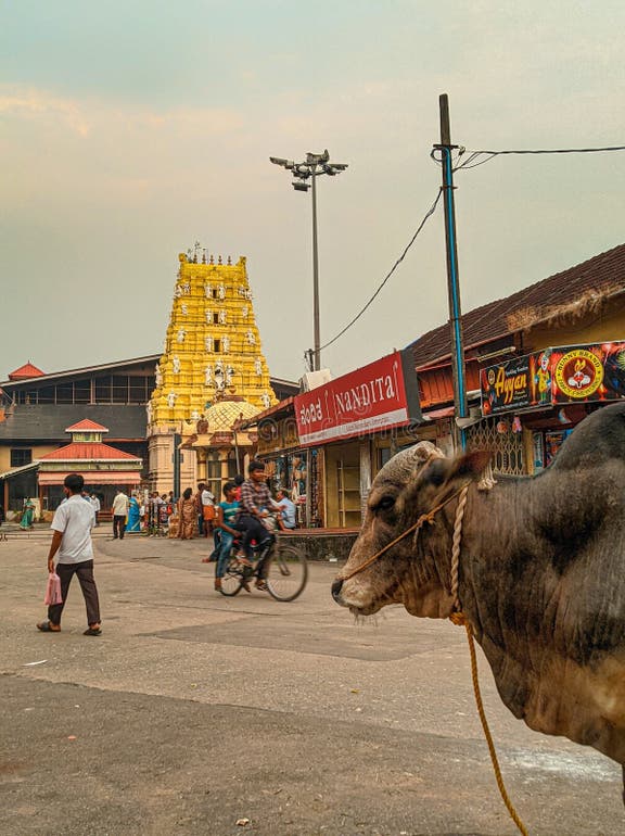 Udupi temple in karnataka editorial stock image. Image of temple ...