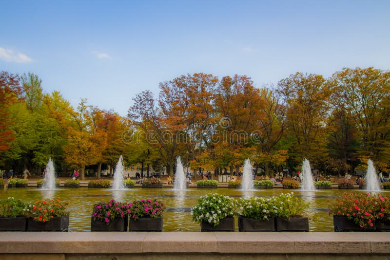 Ueno park in autumn stock image. Image of place, landscape - 181130427