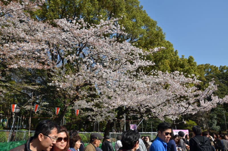 Ueno Park in the spring editorial photo. Image of japan - 92102471