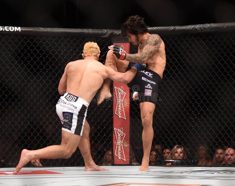 UFC feight editorial photo. Image of janeiro, feight - 155984586