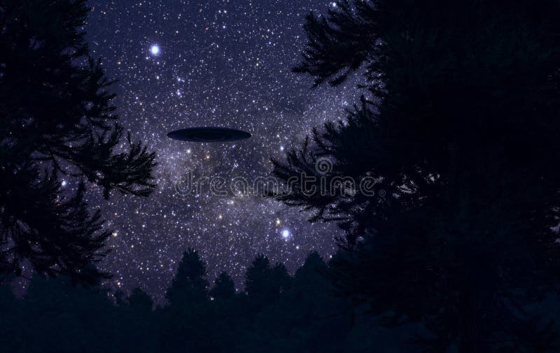 Ufo in night forest stock illustration. Illustration of landscape ...