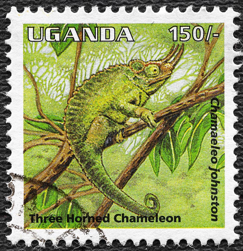 Uganda - CIRCA 1995: Three-horned Chameleon on Postage Stamp of Uganda ...