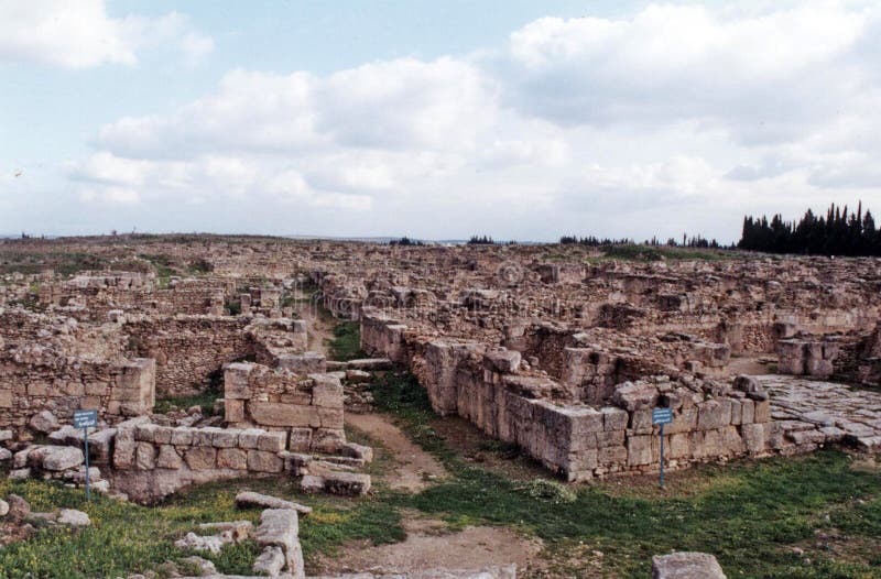 Ugarit ruins stock photo. Image of archaeology, latakya - 80731186