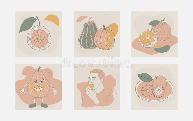 Ugli Fruit Colorful Blob Vector Collection Stock Vector - Illustration ...