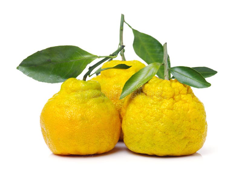 Ugli Grapet Stock Photos - Free & Royalty-Free Stock Photos from Dreamstime