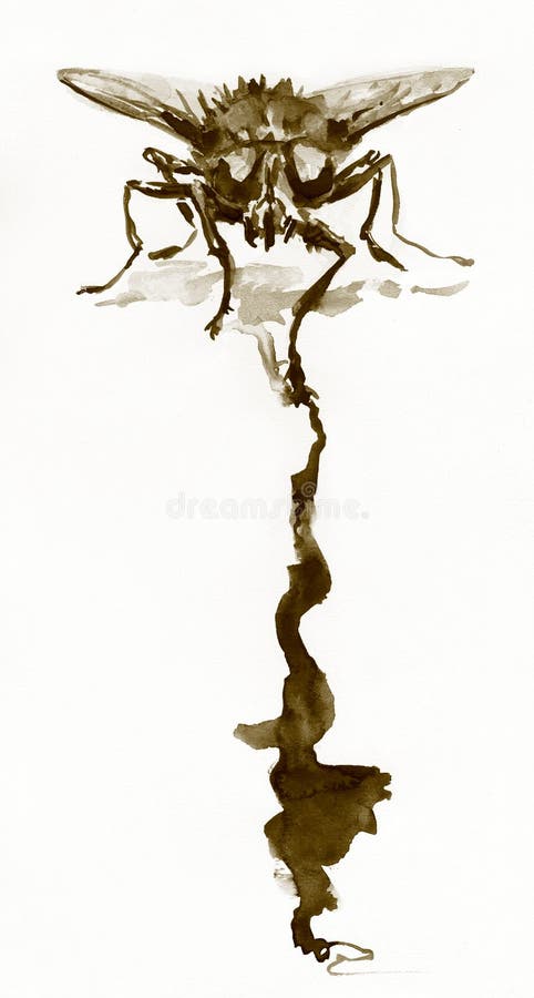 Ugly fly stock illustration. Illustration of painting - 37809557