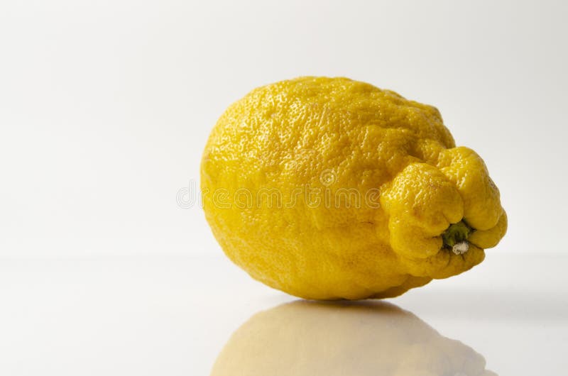 Ugly Lemon With Mold On White Background. Square Image. Close Up ...