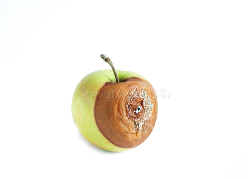 2,549 Rotten Green Apple Stock Photos - Free & Royalty-Free Stock ...