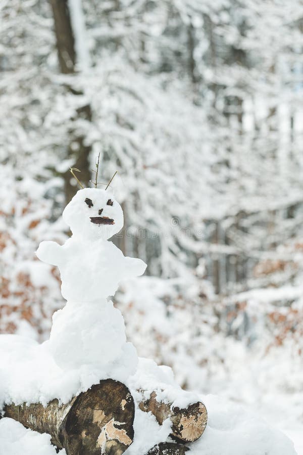 Ugly Snowman in Snow Covered Park Stock Photo - Image of forecast ...