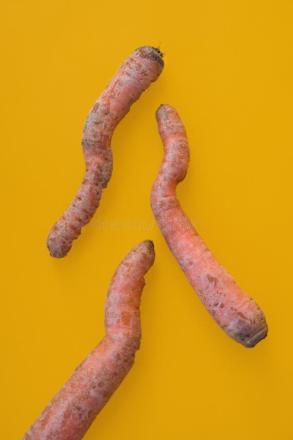 Ugly Vegetables, Deformed Carrots on a Trending Orange Background Stock ...