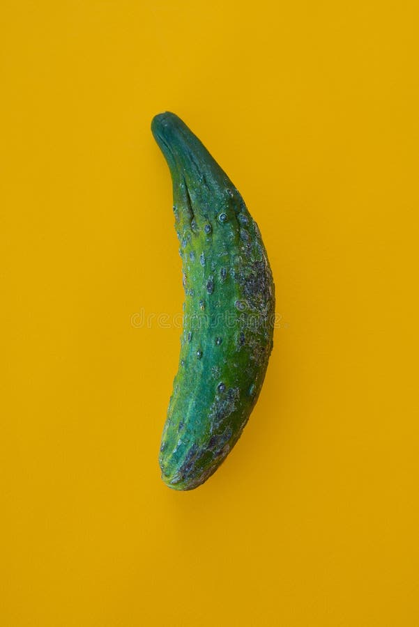 Ugly Vegetables, Deformed Cucumber on a Trending Orange Background ...