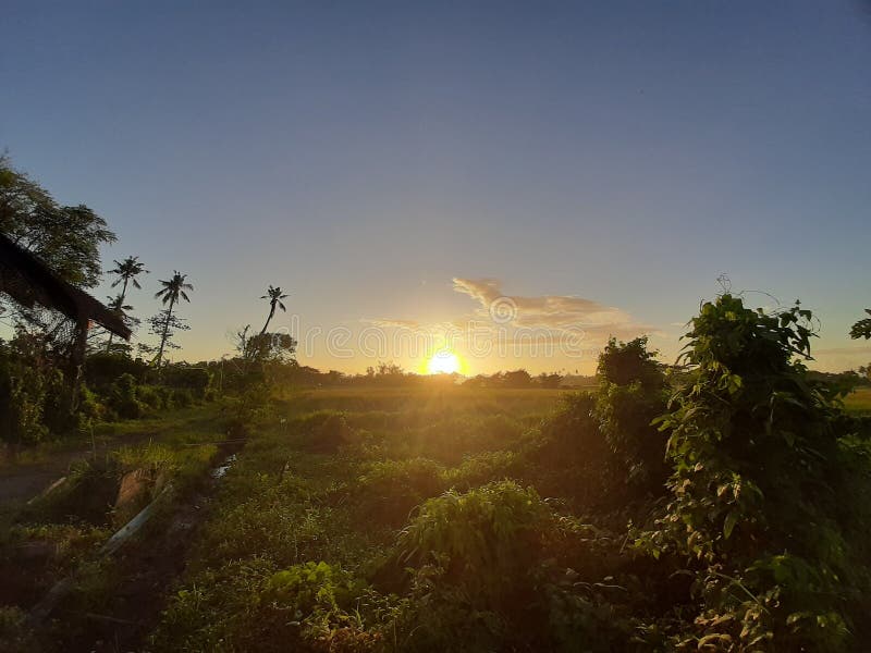 Uhay Farm& X27;s Sunrise Stock Photo - Image of cloud, evening: 202933362