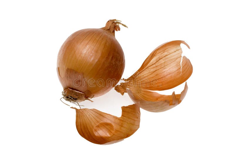 Ui en schil stock afbeelding. Image of besnoeiing, gezond - 4120507