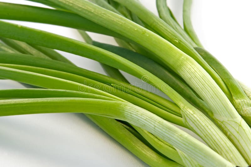 Uien stock foto. Image of dineren, keuken, seizoen, groen - 974226