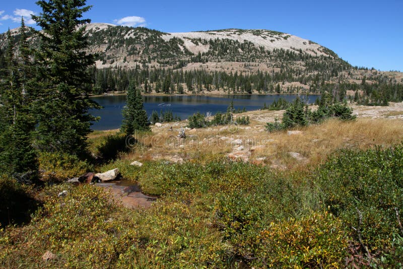 Uinta Mountains landscape stock image. Image of hike, camping - 1199675