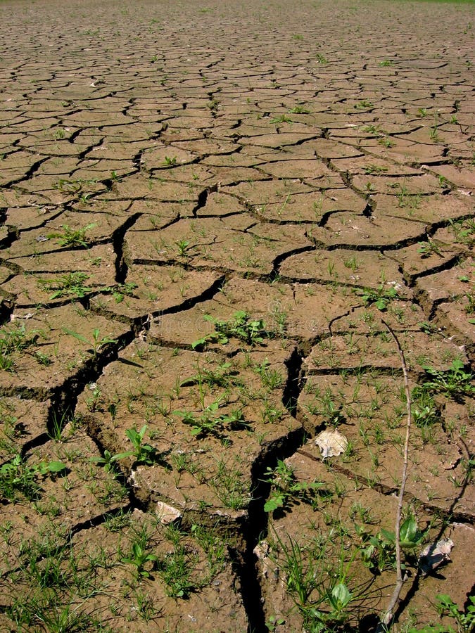 Dorre aarde stock foto. Image of aarden, droog, patroon - 190154