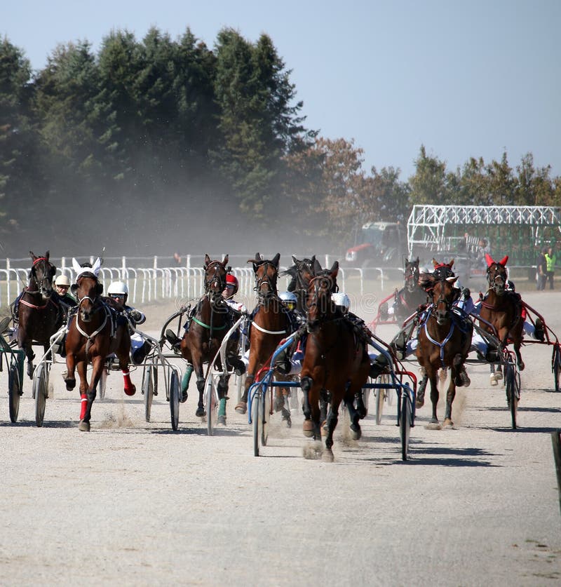 Het Rennen Paarden Bij Het Gulfstream-Park, Florida Redactionele Stock ...
