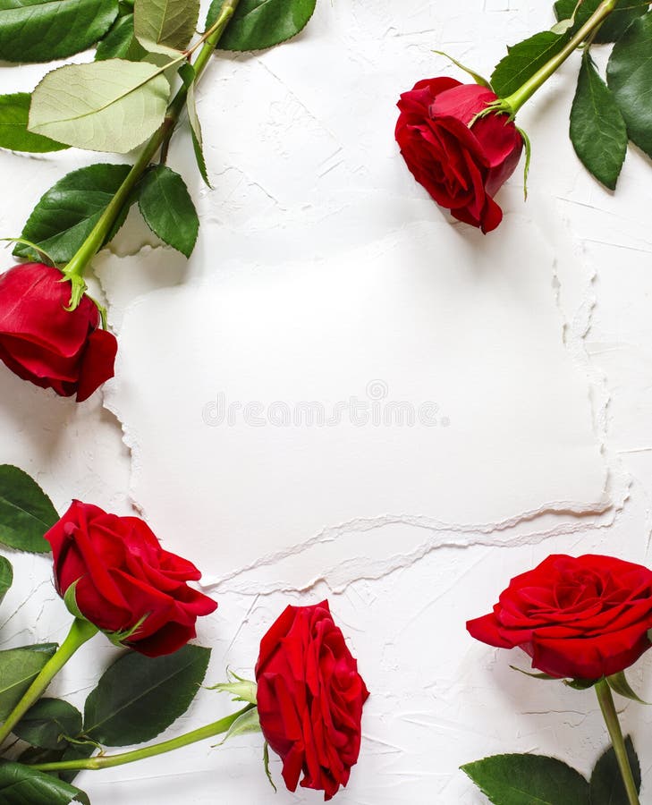 Uitstekend Document Met Ruimte Voor Tekst En Rode Rozen Stock ...