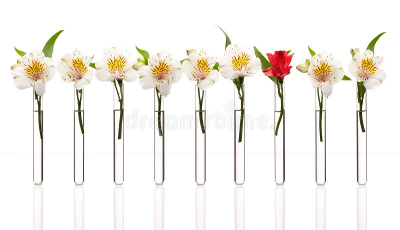 Uitzondering stock afbeelding. Image of chemisch, ontwikkeling - 27690207