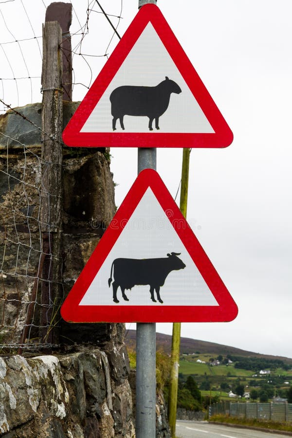 UK Blue Rectangular Warning Sing, Not Suitable For HGV. Stock Image ...