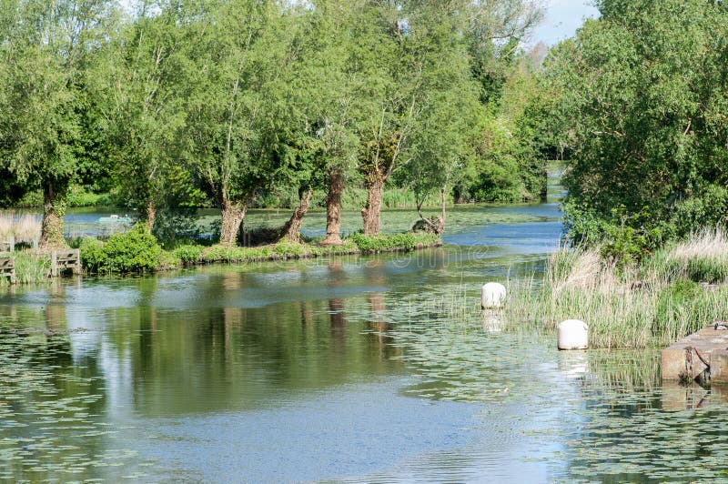 UK Habitat managed river stock photo. Image of river - 54300262