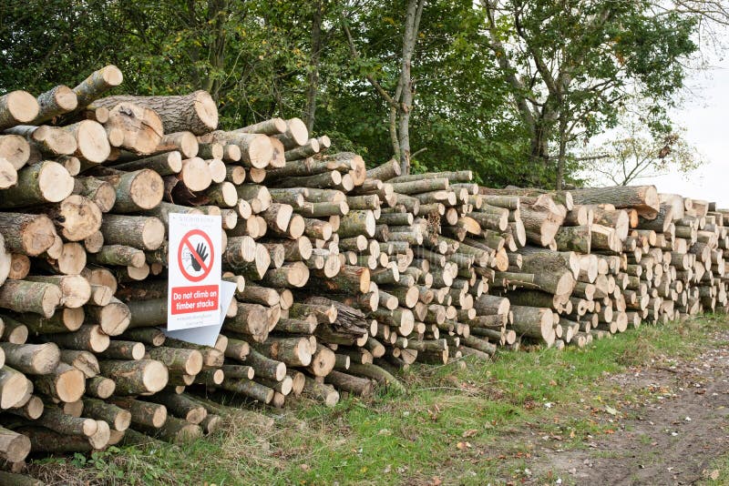 UK Logging, Logpile or Log Stack in a Forest or Woodland Editorial ... UK Logging, Logpile or Log Stack in a Forest or Woodland Editorial ...