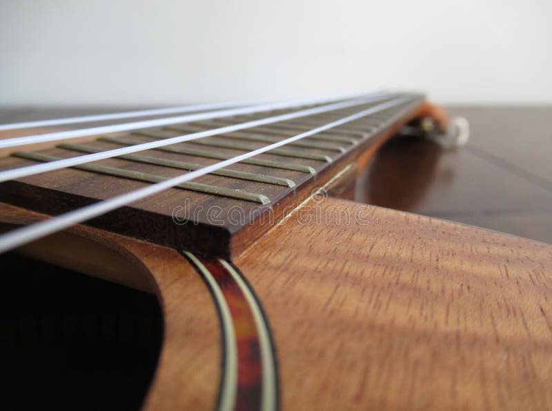 Ukelele Hawaiian Instrument Strings Close-up Macro Fretboard Stock ...