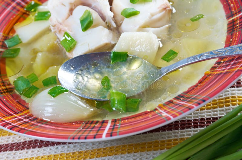 Ukha. Russianl fish soup. stock photo. Image of easteuropean - 30310738
