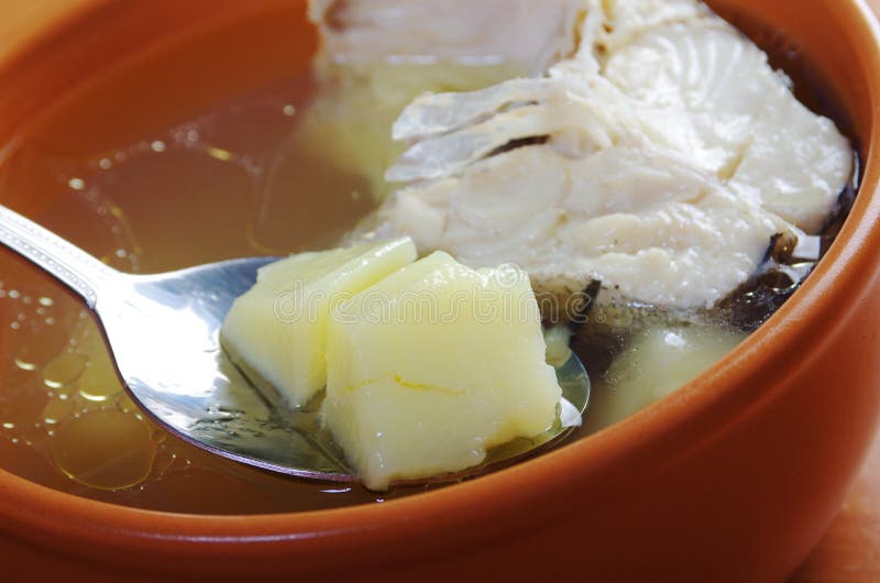 Ukhal fish soup. stock photo. Image of fish, ukha, clear - 29041354
