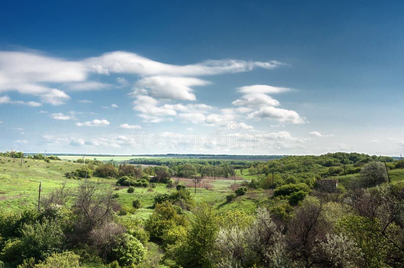 Steppe Landscape with Wild Vegetation, Ukraine, Donetsk Region Stock ...