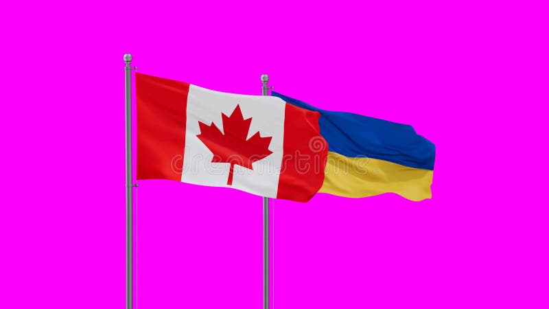 Ukraine and Canada flag stock footage. Video of appointment - 305923500