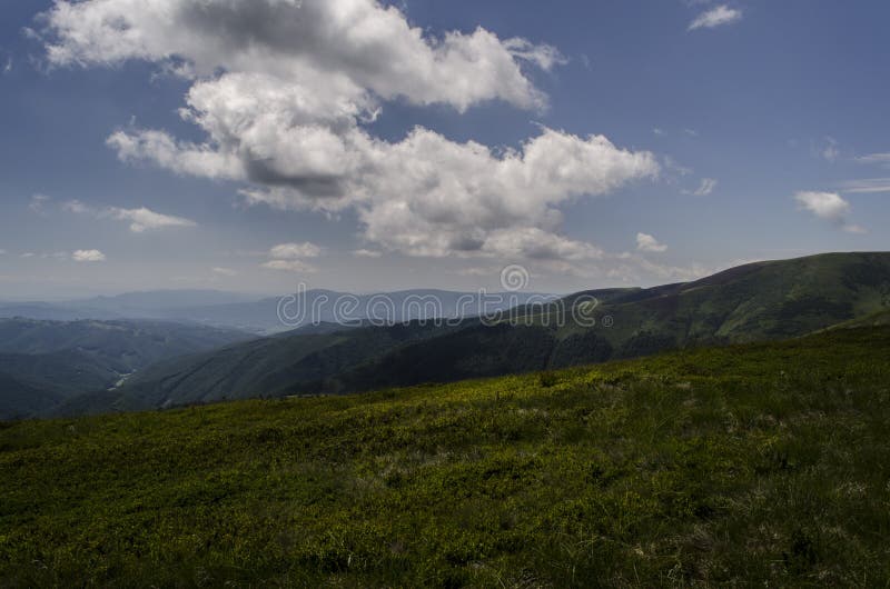 Ukraine karpaty stock photo. Image of puffy, gulf, flowers - 98004262