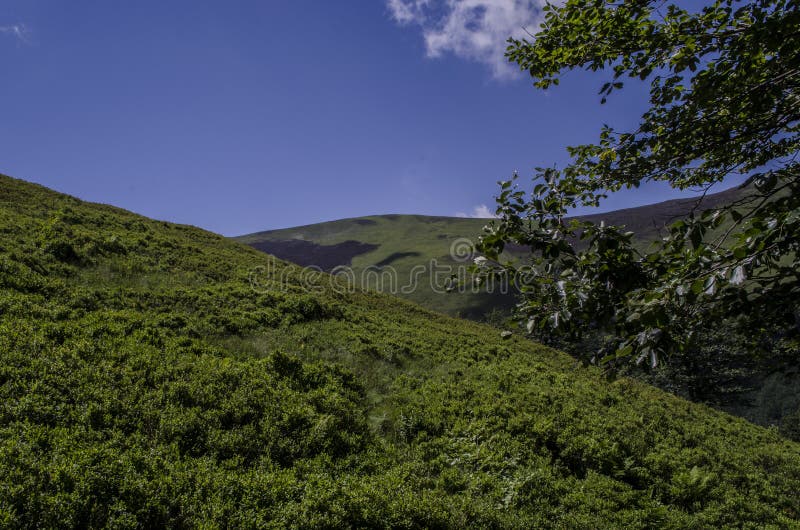 Ukraine karpaty stock image. Image of gulf, tourists - 98004785