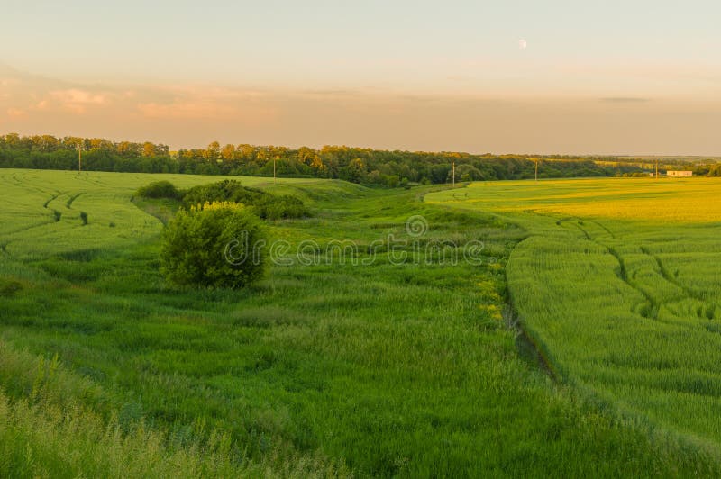 Ukrainian Agricultural Landscape with Full Moon Stock Photo - Image of ...