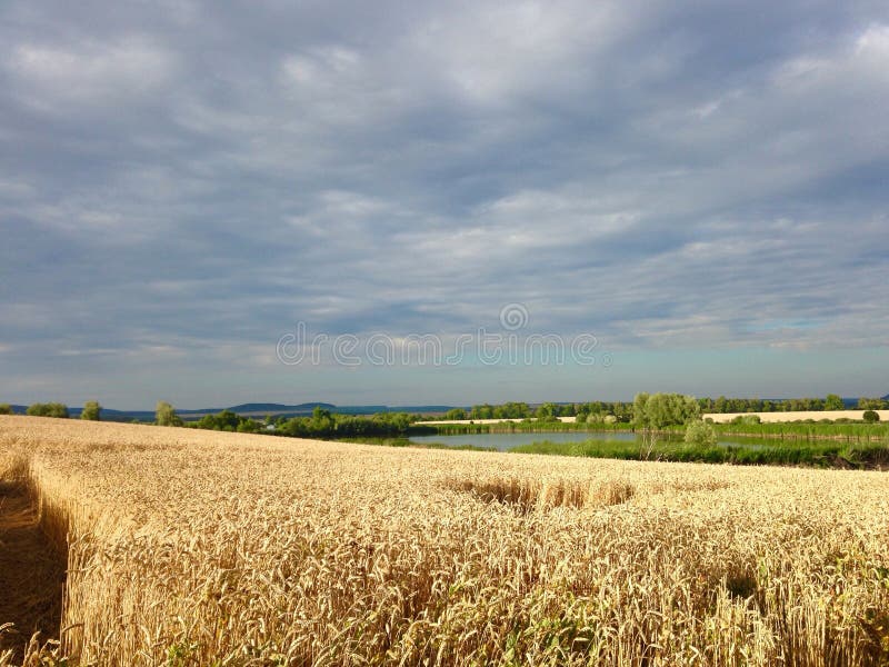 Ukrainian field stock photo. Image of beautiful, lake - 71081524