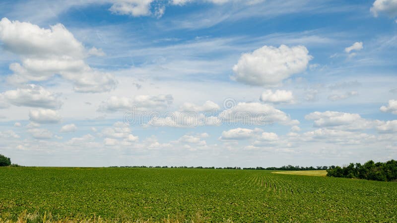 Ukrainian Peace Agricultural Fields in Its Central Part. Stock Image ...