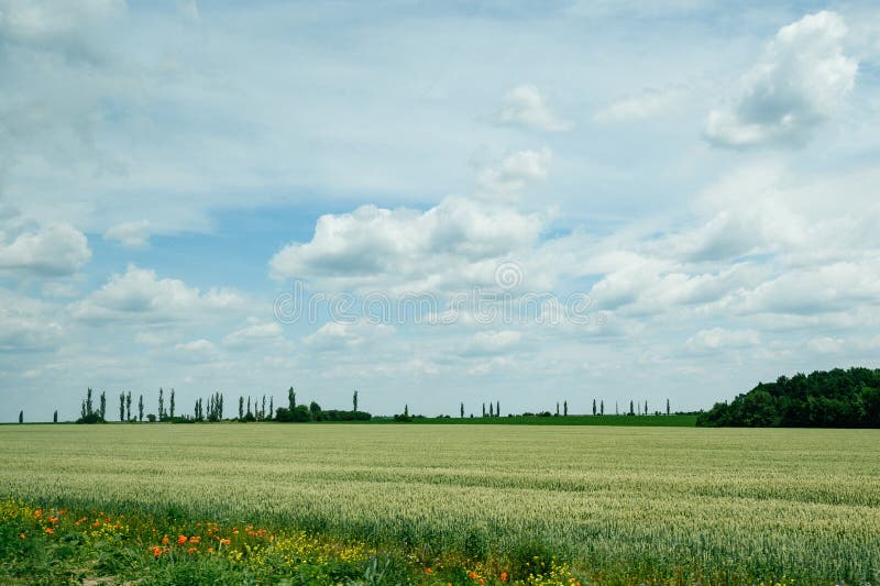Ukrainian Peace Agricultural Fields in Its Central Part. Stock Photo ...