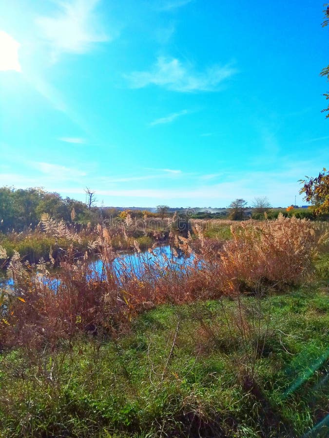 Ukrainian rural area stock image. Image of rural, outside - 248192359